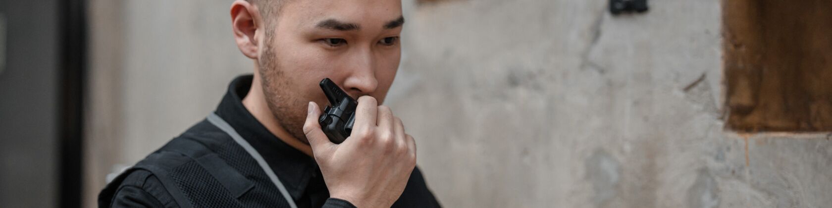 Iceland Security Guards - Titan Security Europe